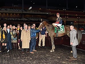 Tonalist - Horse Profile - BloodHorse