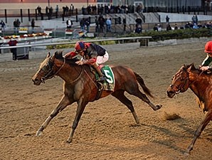 Tonalist - Horse Profile - BloodHorse