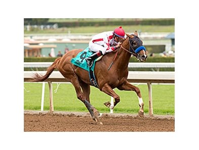Rare Early Dirt Stakes Winner for City Zip - BloodHorse
