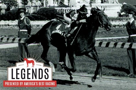 Spectacular Bid's Brilliance Remembered - BloodHorse