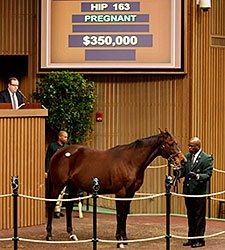 Castleton Lyons Goes to $350,000 for My Limit - BloodHorse
