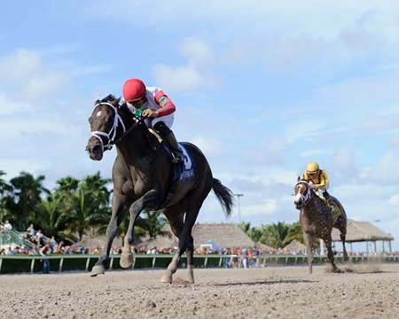 Pompa Primed With Met Mile Duo - BloodHorse
