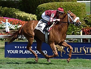Lady Shipman - Horse Profile - BloodHorse