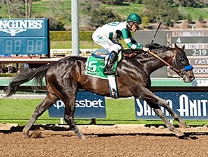 Mor Spirit - Horse Profile - BloodHorse