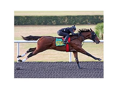 Brinker Hill Scores With Smart Strike Colt - BloodHorse