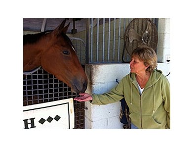 TOBA March Member of the Month - BloodHorse