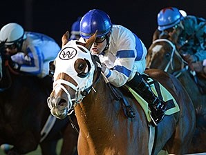 American Sailor - Horse Profile - BloodHorse