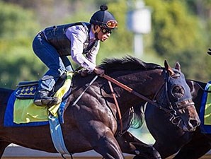 Mor Spirit - Horse Profile - BloodHorse