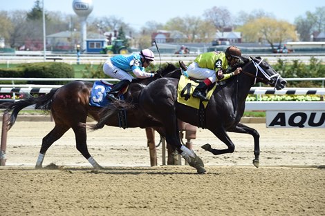 Mission Impazible's First Starter Wins Debut - BloodHorse