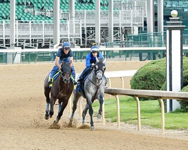 Mor Spirit - Horse Profile - BloodHorse
