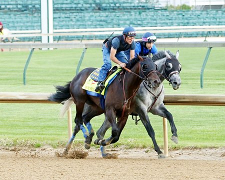 Mor Spirit Sharp in Churchill Breeze - BloodHorse