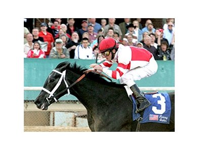 Remembering Eight Belles - BloodHorse