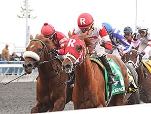 Oscar Nominated - Horse Profile - BloodHorse