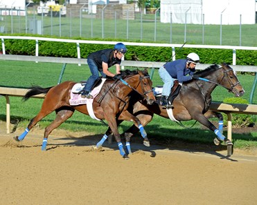 Dothraki Queen - Horse Profile - BloodHorse