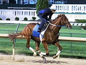 Gun Runner Gets to Work at Churchill Downs - BloodHorse