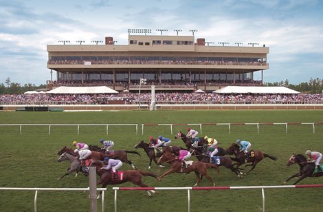 Colonial Downs Names Turf Course After Secretariat - BloodHorse