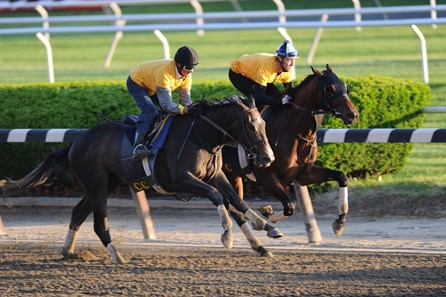 Tonalist - Horse Profile - BloodHorse