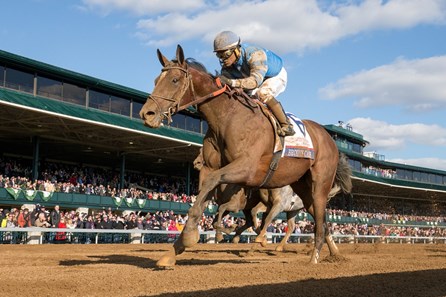Brody's Cause - Horse Profile - BloodHorse