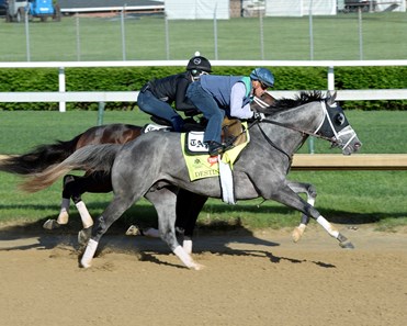 Destin - Horse Profile - BloodHorse