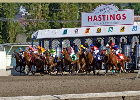 Hastings Cancels April 23 Racing Program - BloodHorse