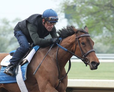 Dothraki Queen - Horse Profile - BloodHorse