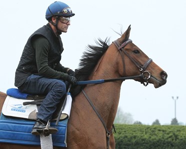 Dothraki Queen - Horse Profile - BloodHorse