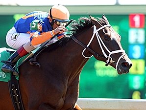 Uncle Mo Looks for First-Crop Classic Glory - BloodHorse
