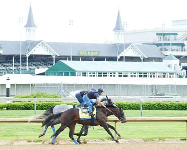 Mor Spirit - Horse Profile - BloodHorse