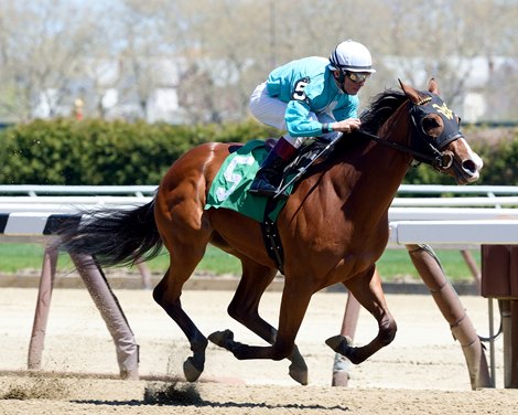 Lady Stardust First Winner for Union Rags in Debut - BloodHorse