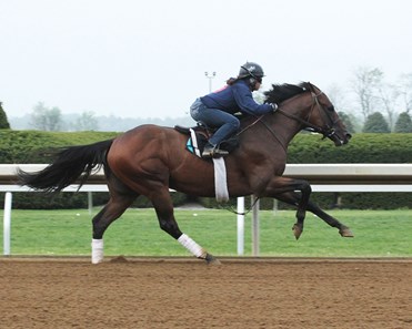 Ami's Flatter - Horse Profile - BloodHorse