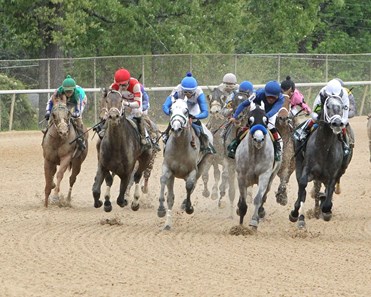 Creator - Horse Profile - BloodHorse