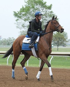 Dothraki Queen - Horse Profile - BloodHorse