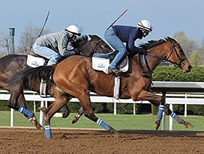 Dothraki Queen - Horse Profile - BloodHorse