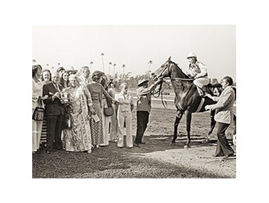 Stucki, Trainer of Ancient Title, Dies at 96 - BloodHorse