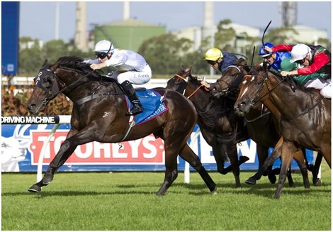 Coolmore Sets 2016 Australian Stud Fees - BloodHorse