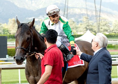 Wild Dude - Horse Profile - BloodHorse