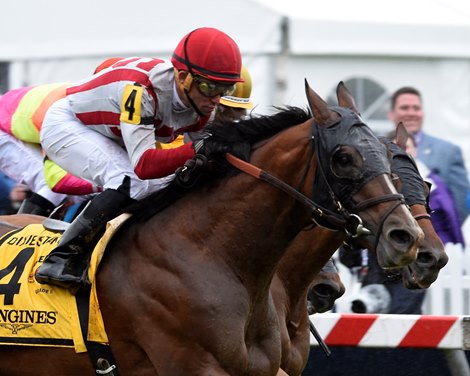 Takeover Target Closes for Dixie - BloodHorse
