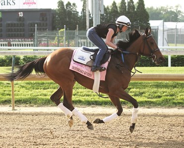 Dothraki Queen - Horse Profile - BloodHorse