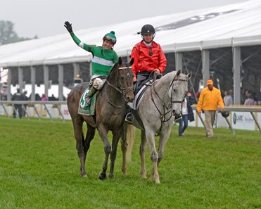 Exaggerator - Horse Profile - BloodHorse