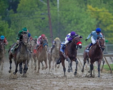 Exaggerator - Horse Profile - BloodHorse