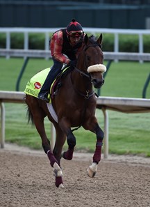 Suddenbreakingnews - Horse Profile - BloodHorse