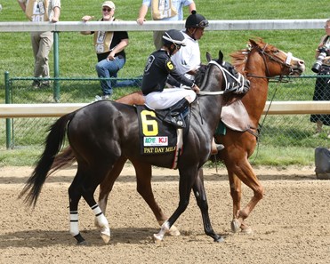 Sharp Azteca - Horse Profile - BloodHorse