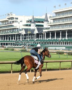 Dothraki Queen - Horse Profile - BloodHorse