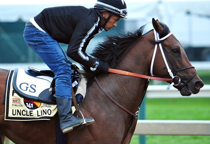 Uncle Lino - Horse Profile - BloodHorse