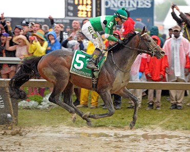Exaggerator - Horse Profile - BloodHorse