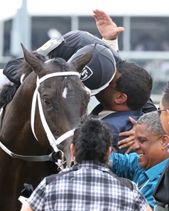 Sharp Azteca - Horse Profile - BloodHorse