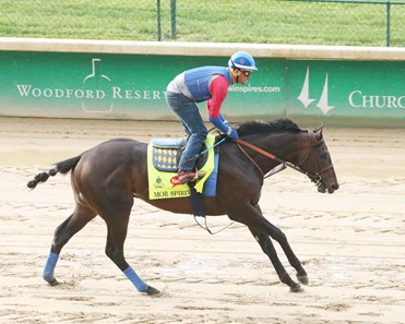 Mor Spirit - Horse Profile - BloodHorse