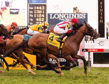 Takeover Target - Horse Profile - BloodHorse