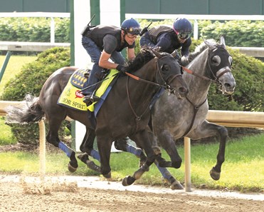Mor Spirit - Horse Profile - BloodHorse
