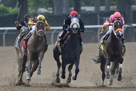 Cavorting - Horse Profile - BloodHorse